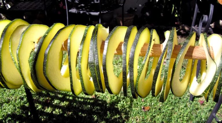 Zucchini and Mushrooms (Easy Italian Style) - Authentic Italian ...