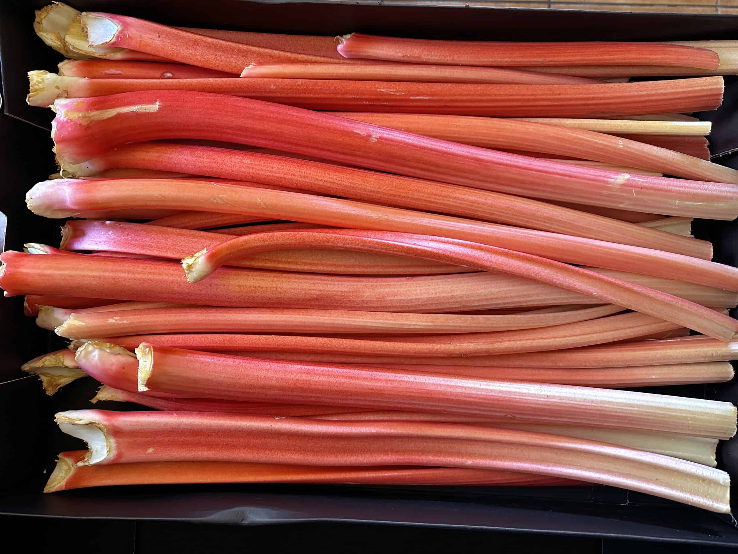 How to Freeze Rhubarb - Authentic Italian & Scottish Recipes & Travel ...