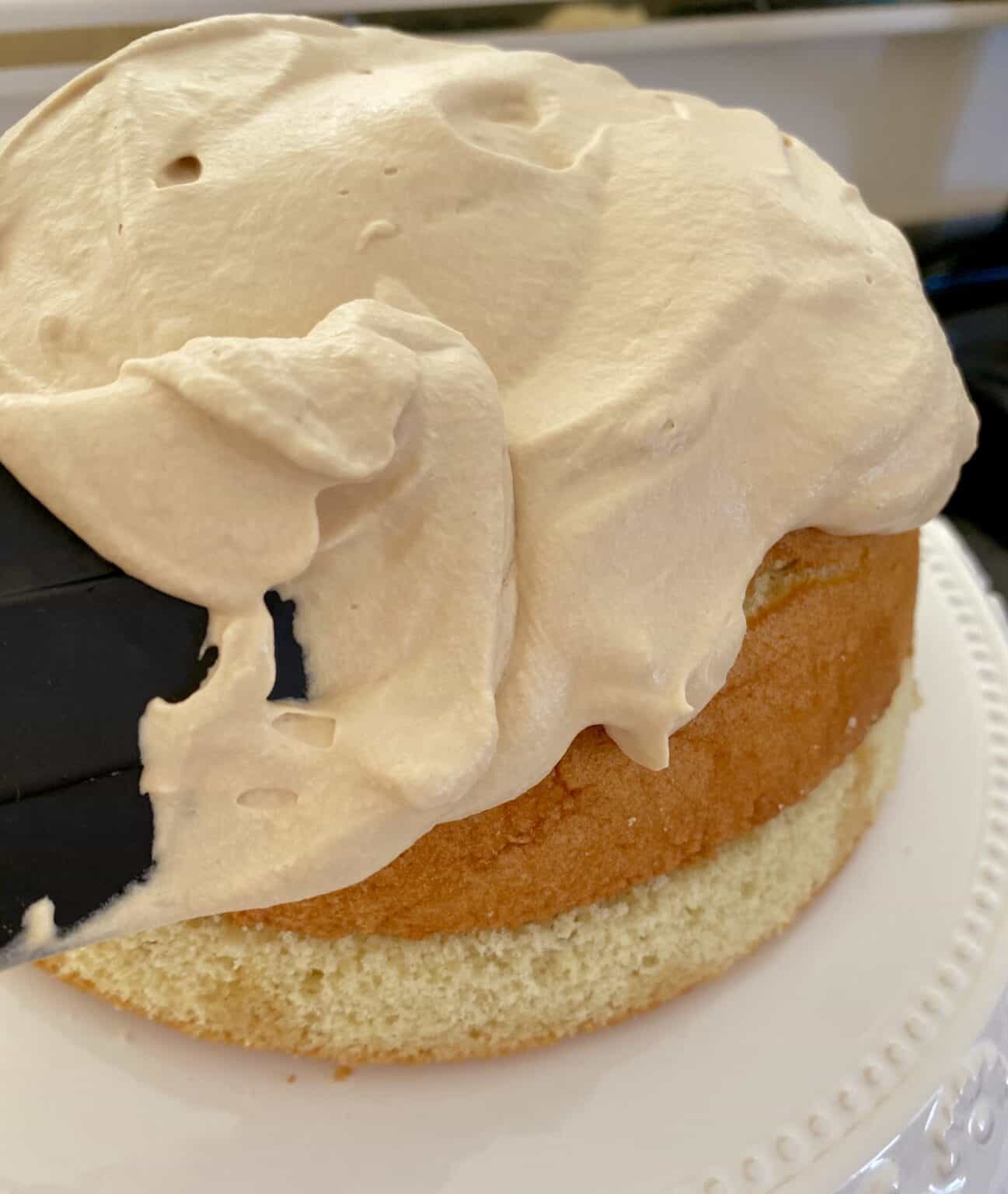Zuccotto: a Creamy Italian Dessert Cake - Christina's Cucina