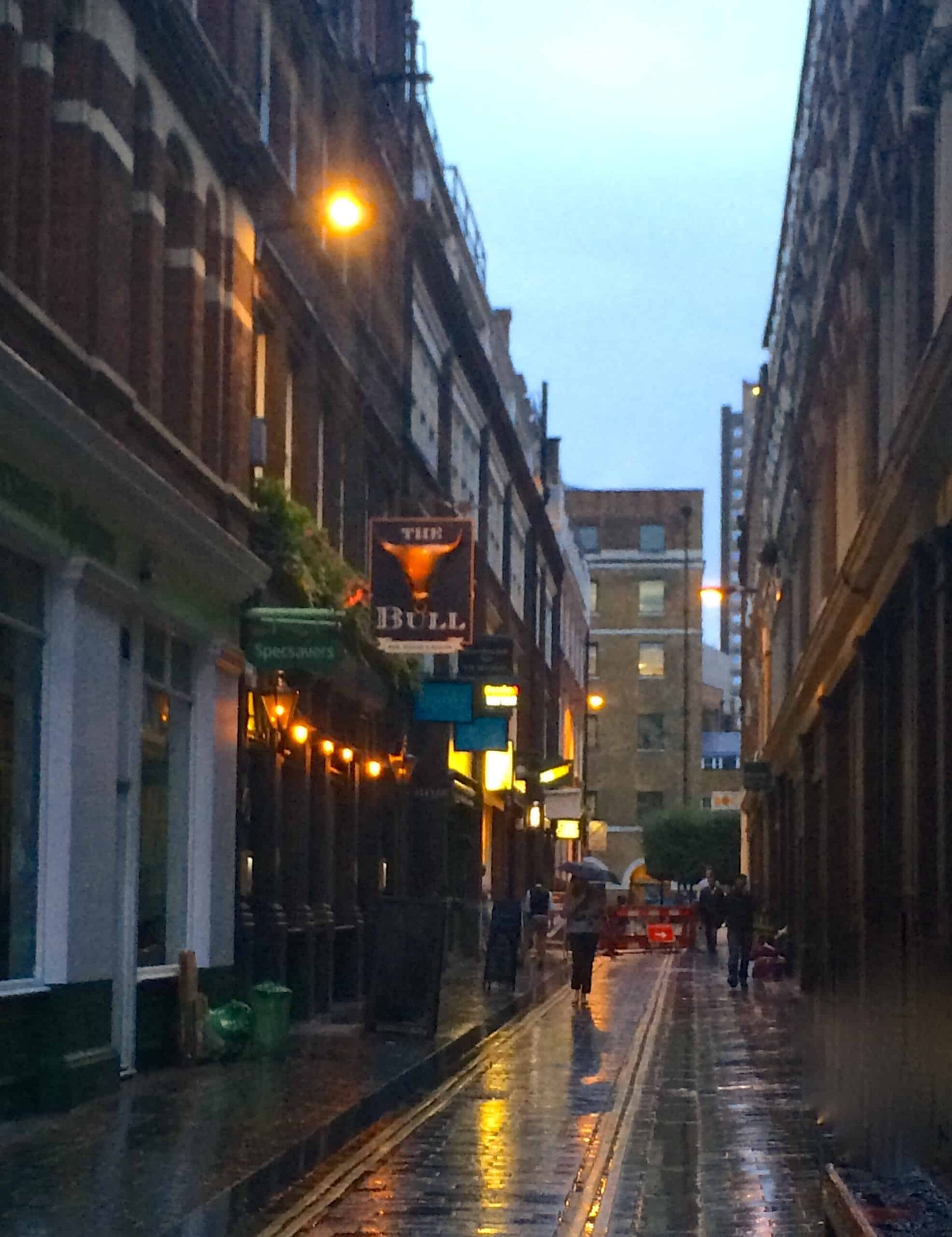 A Marvelous Hideaway in the Center of London: The Bull & Hide Pub ...