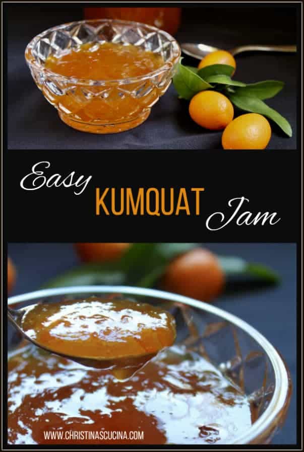 Easy Kumquat Jam Recipe (No Pectin Added and Award-Winning ) - European Food and Travel