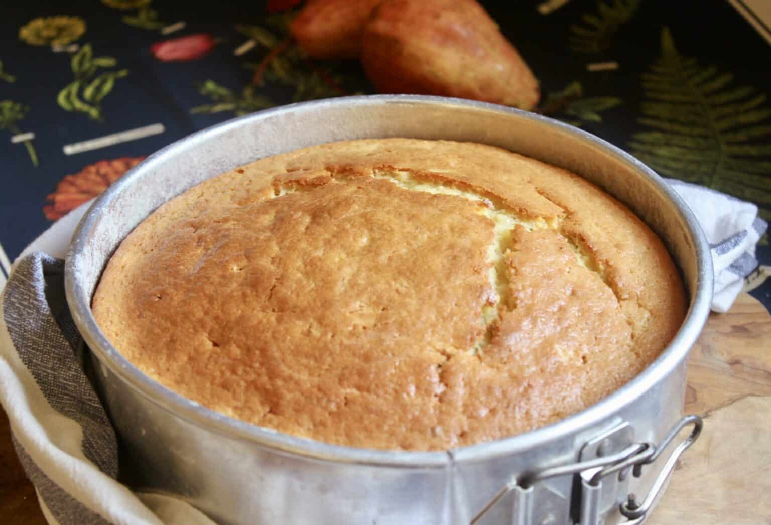 Pear Cake (Using Fresh Whole Pears - No Peeling Necessary) - Christina ...