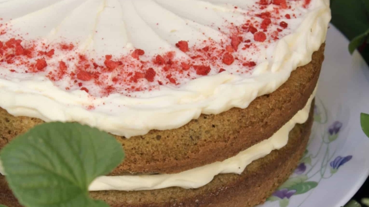Green Cake or Moss Cake for St Patrick's Day (Made with Spinach ...