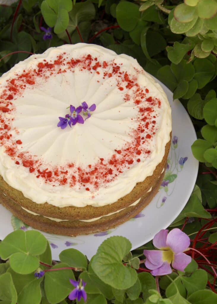 Green Cake or Moss Cake for St Patrick's Day (Made with Spinach ...