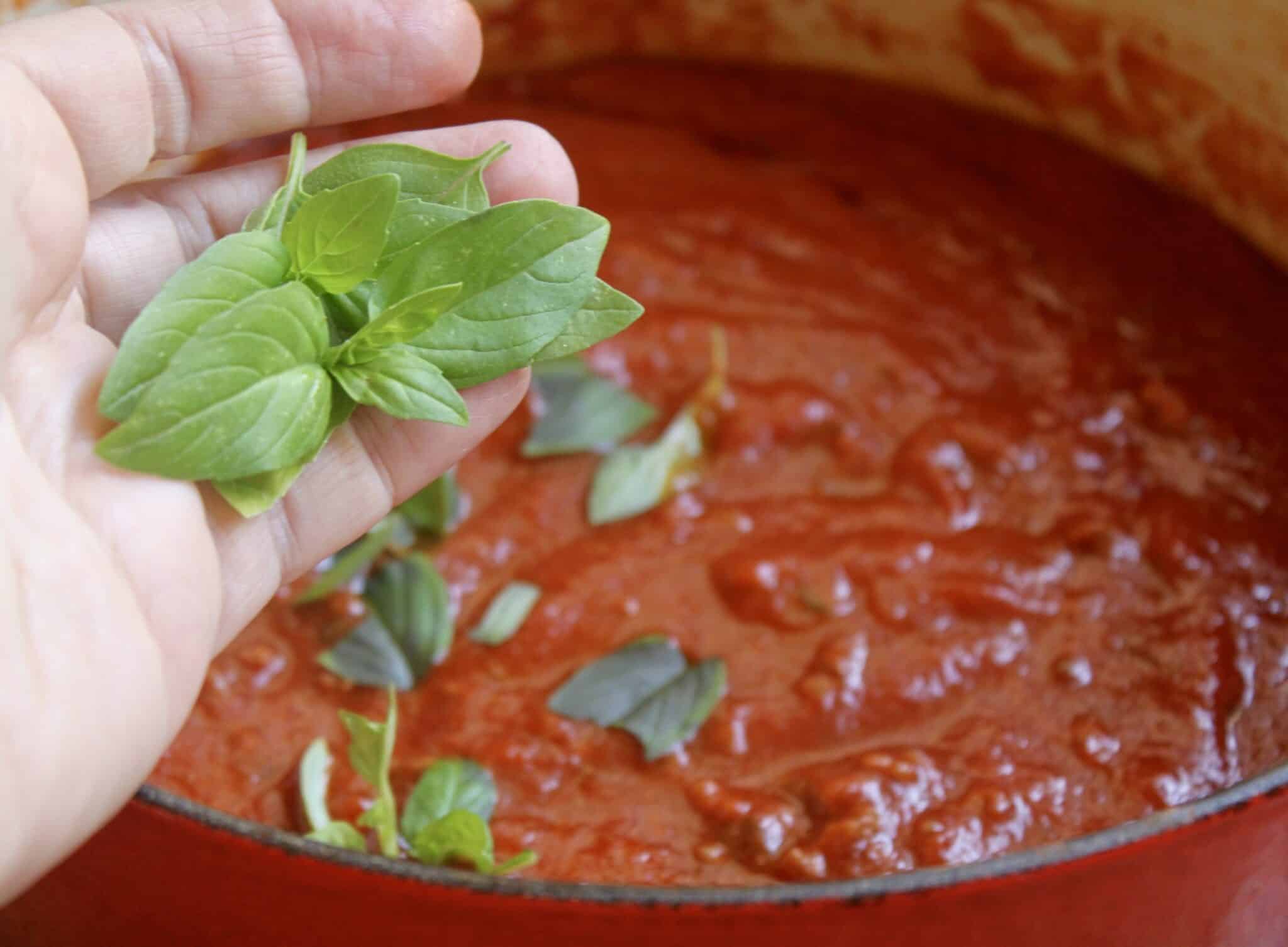 Spaghetti Sauce (Easy Italian Recipe with 6 Ingredients) - Christina's ...