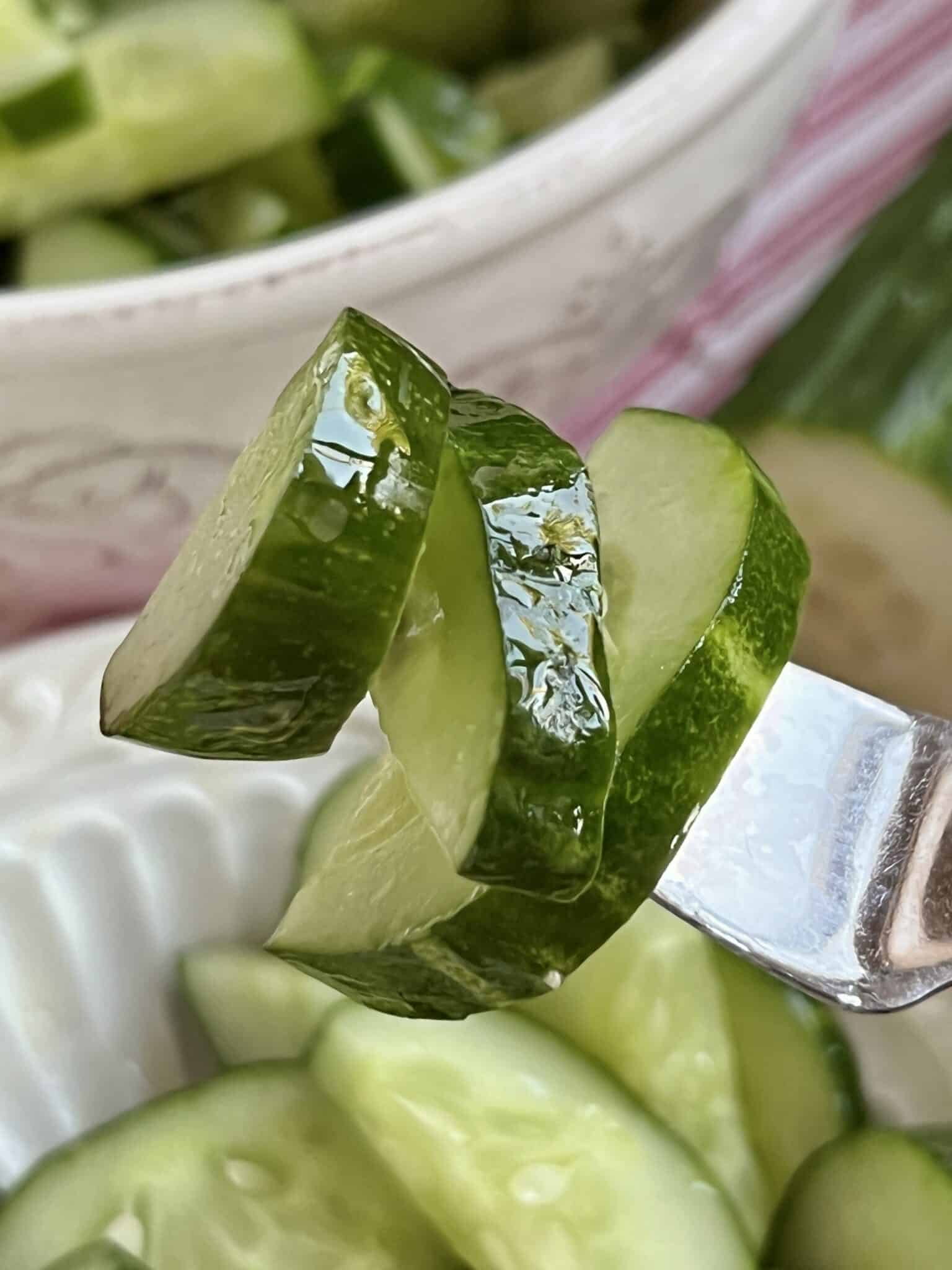 Cucumber Recipes (What to do With Lots of Cucumbers) - Authentic ...