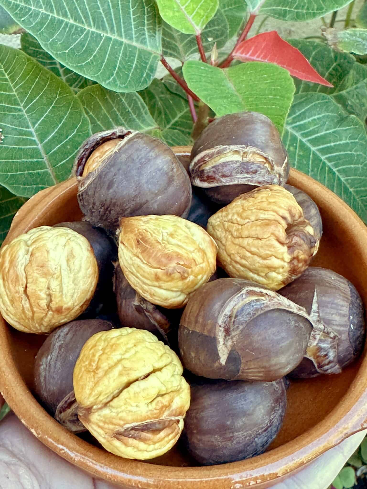 Roasted Chestnuts in 3 Easy Steps (in an Air Fryer) - Authentic Italian ...