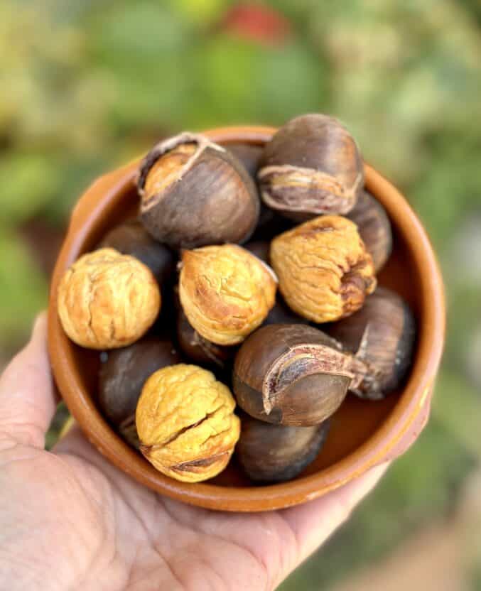 Roasted Chestnuts in 3 Easy Steps (in an Air Fryer) - Authentic Italian ...