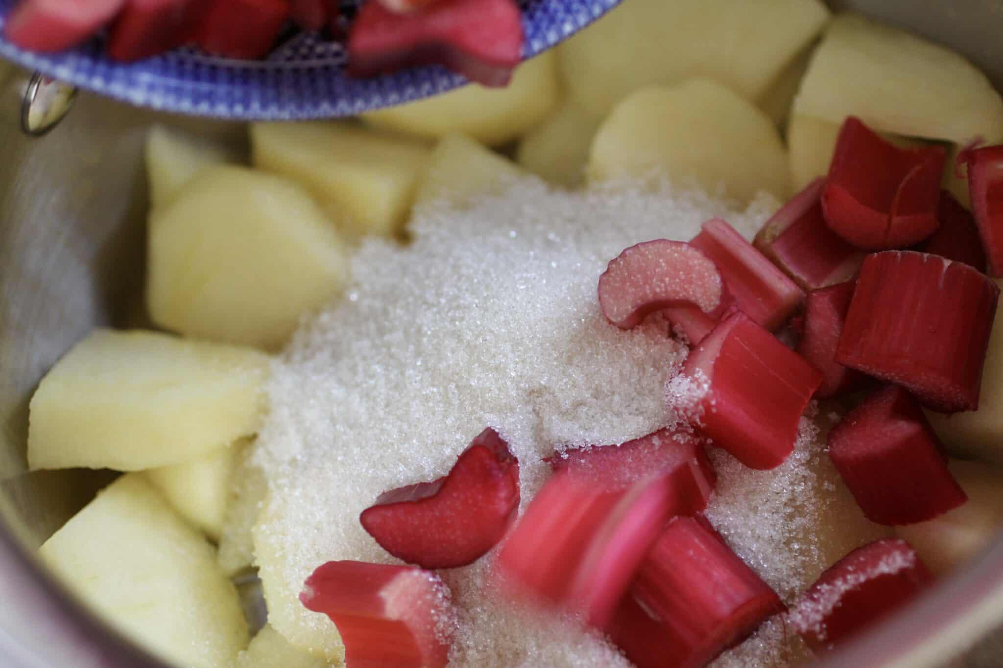 Rhubarb Applesauce - Authentic Italian & Scottish Recipes & Travel ...